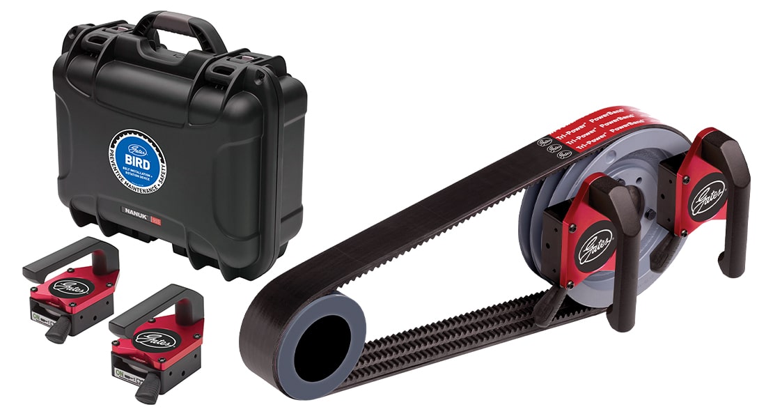 Give belt injury the BIRD - Safe To Work