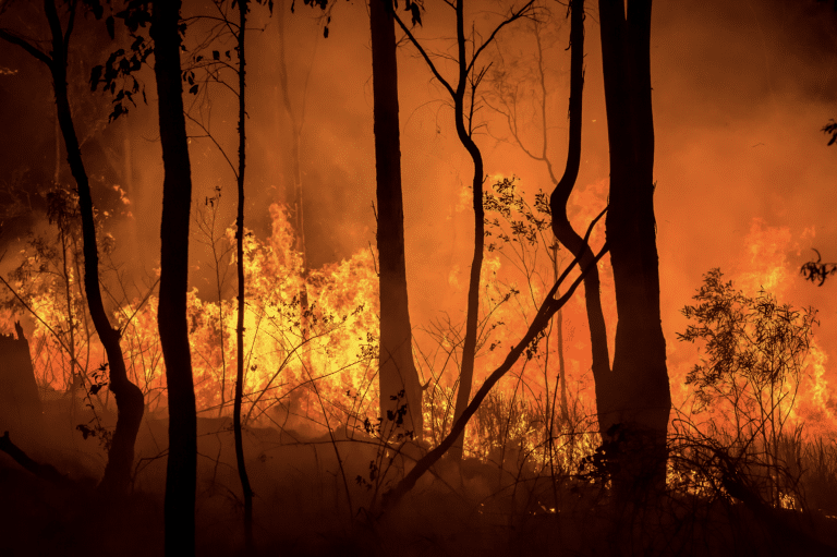 Century workers safe amid bushfire closing operations - Safe To Work