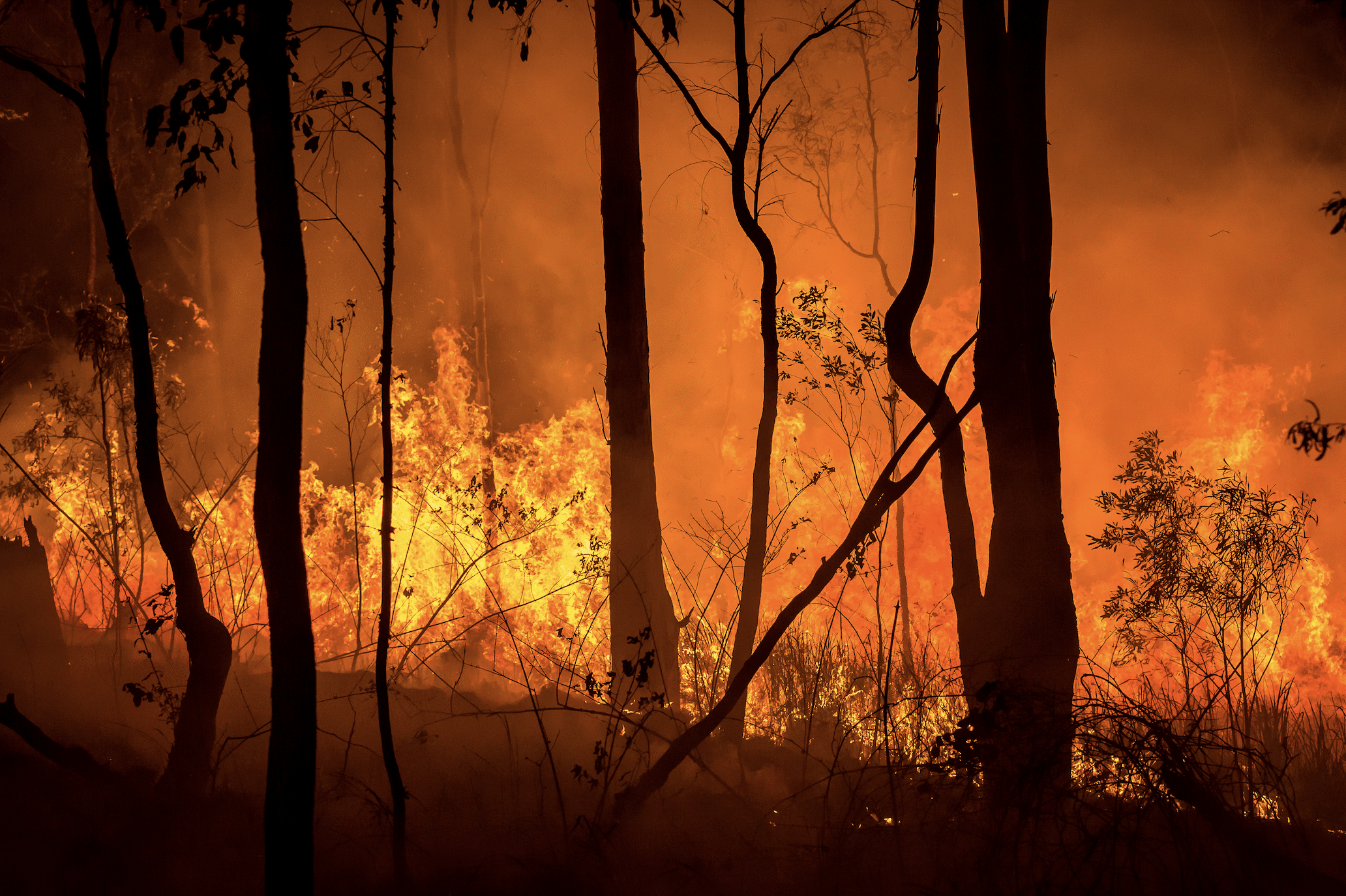Century workers safe amid bushfire closing operations - Safe To Work